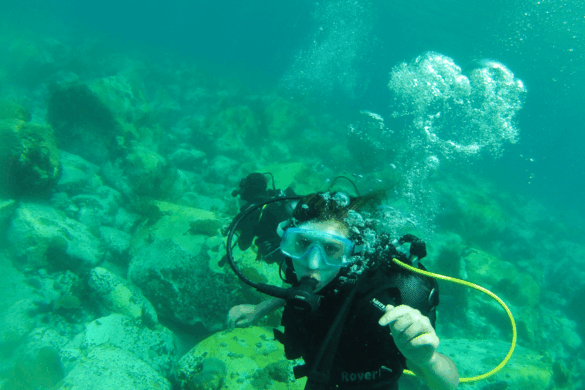Kompass beim Tauchen richtig benutzen
